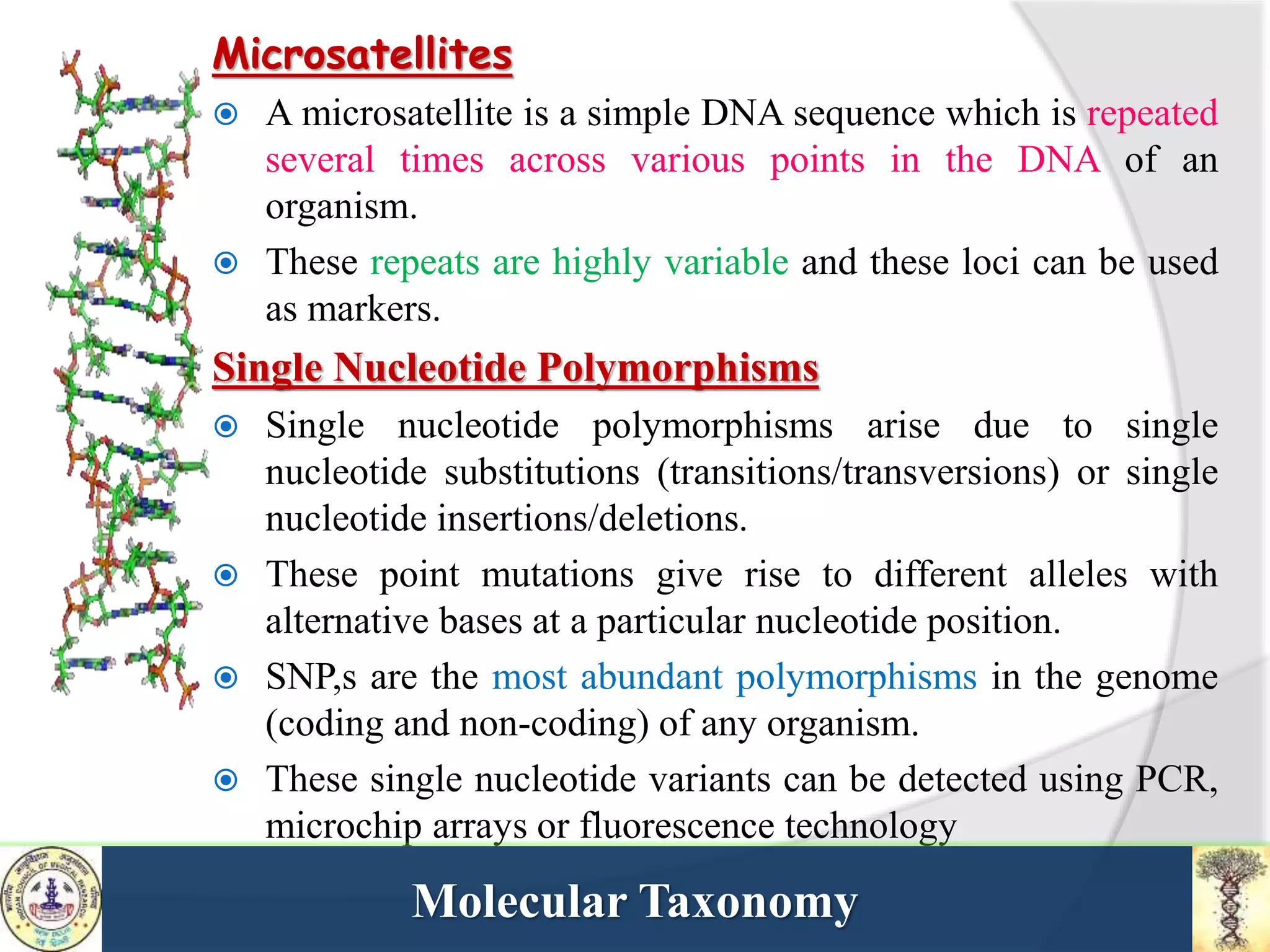 Molecular taxonomy | PPTX