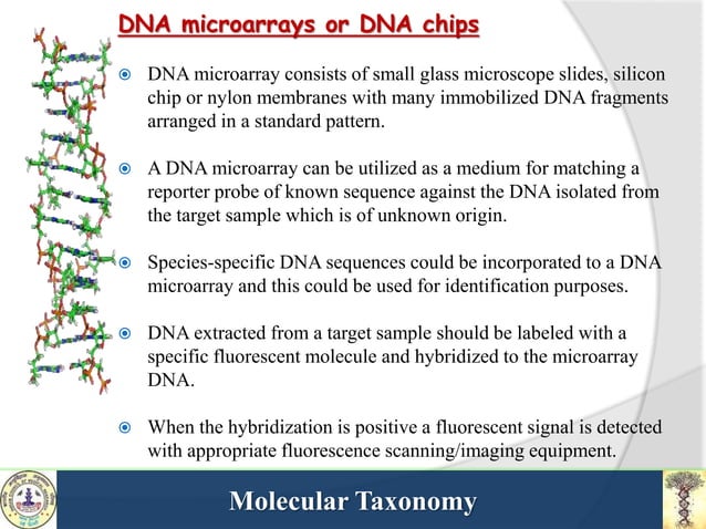 Molecular taxonomy | PPTX