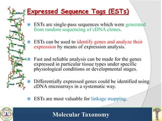 Molecular taxonomy | PPTX