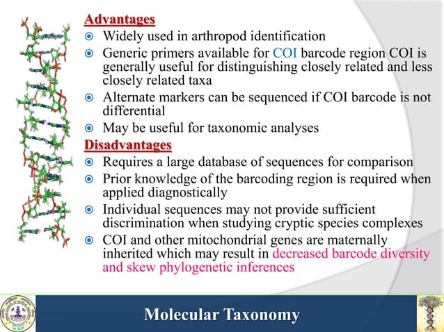 Molecular taxonomy | PPTX