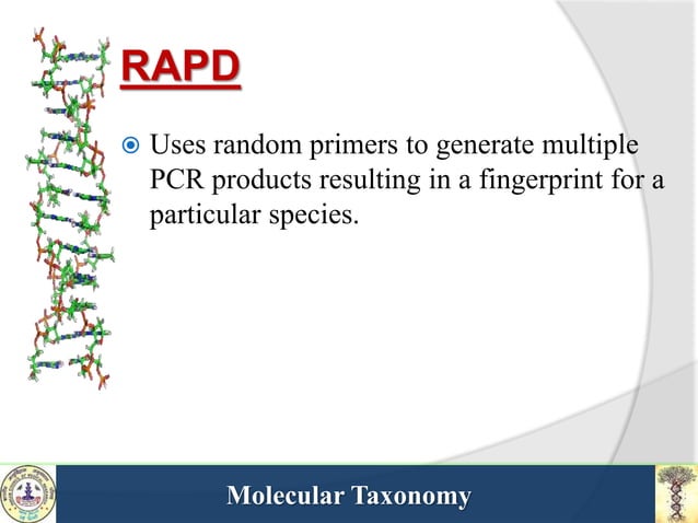 Molecular taxonomy | PPT