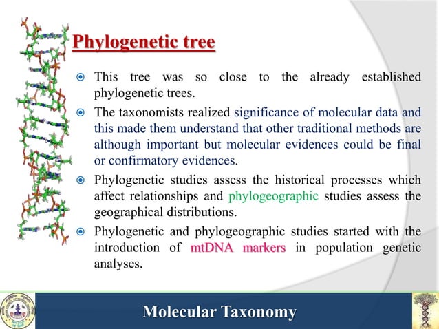 Molecular taxonomy | PPTX