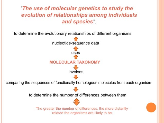 Molecular taxonomy | PPTX | Biological Sciences | Science
