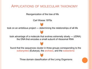 Molecular taxonomy | PPTX