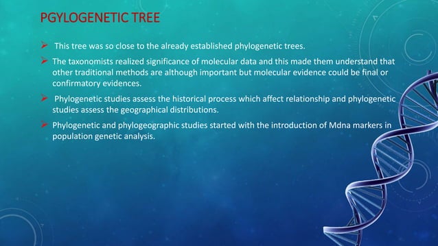 Molecular taxonomy | PPTX | Biological Sciences | Science