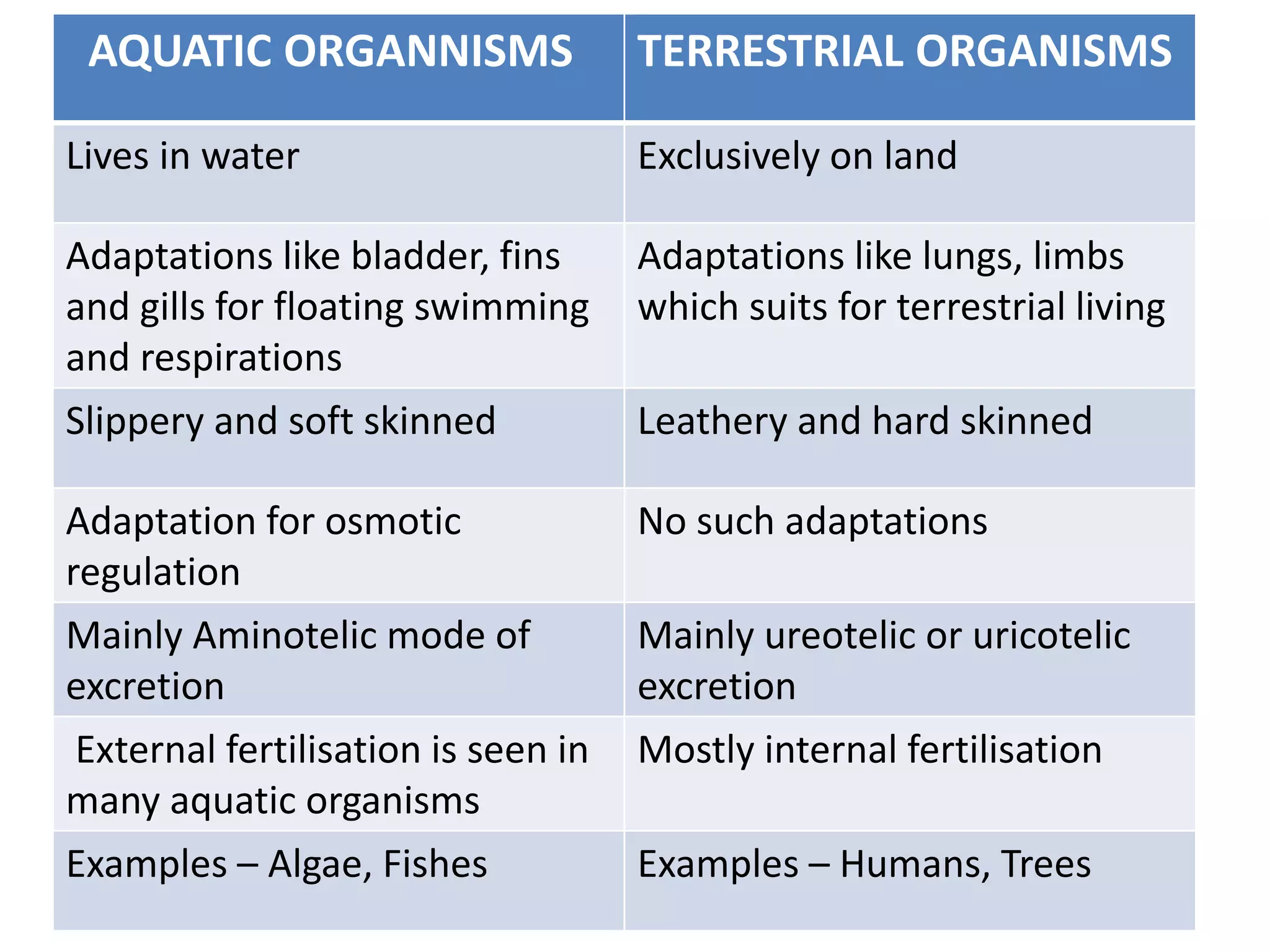 molecular taxonomy.pptx