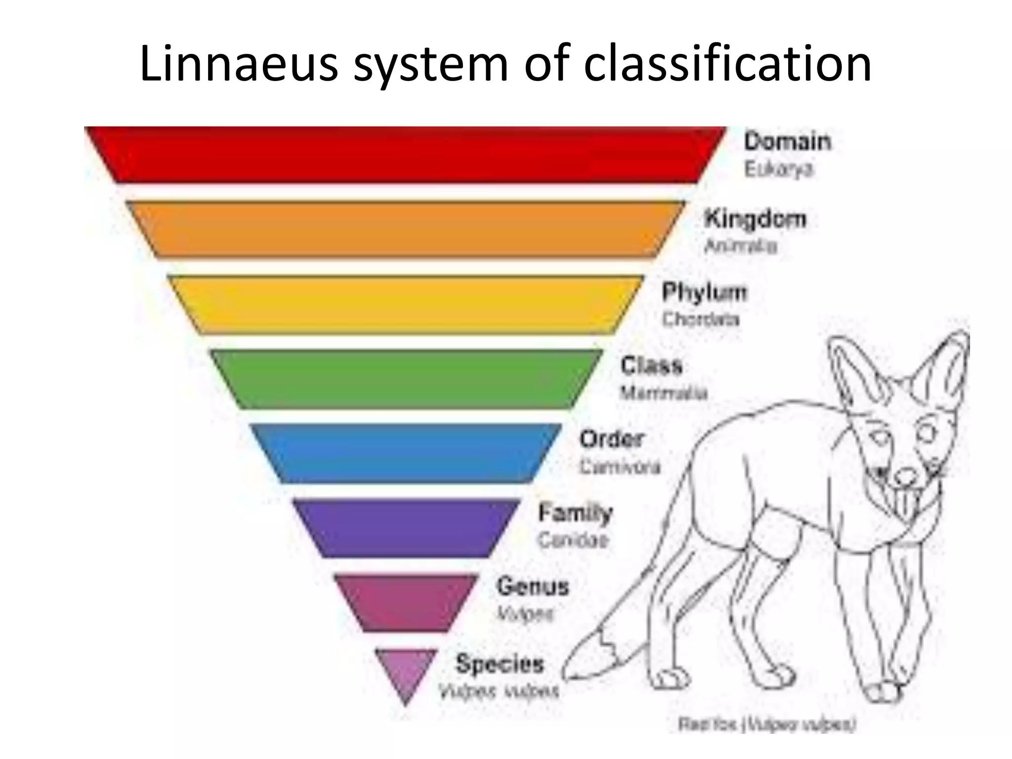 molecular taxonomy.pptx