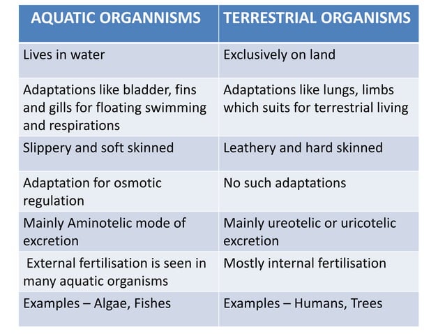 molecular taxonomy.pptx
