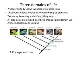 molecular taxonomy.pptx