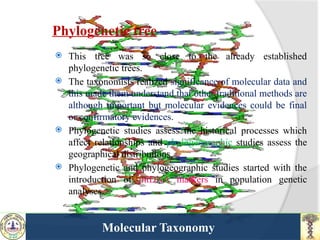 moleculartaxonomy by pks.pptx molecular taxonomy | PPTX