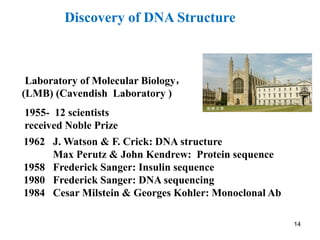 Molecular techniques.ppt