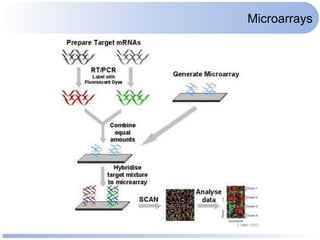 Molecular techniques for pathology research - MDX .pdf