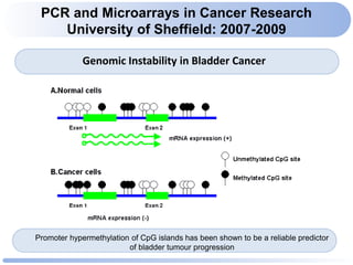 Molecular techniques for pathology research - MDX .pdf