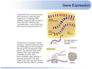 Molecular techniques for pathology research - MDX .pdf