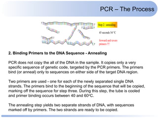 Molecular techniques for pathology research - MDX .pdf