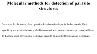 Molecular techniques for the study and diagnosis of parasite infection ...