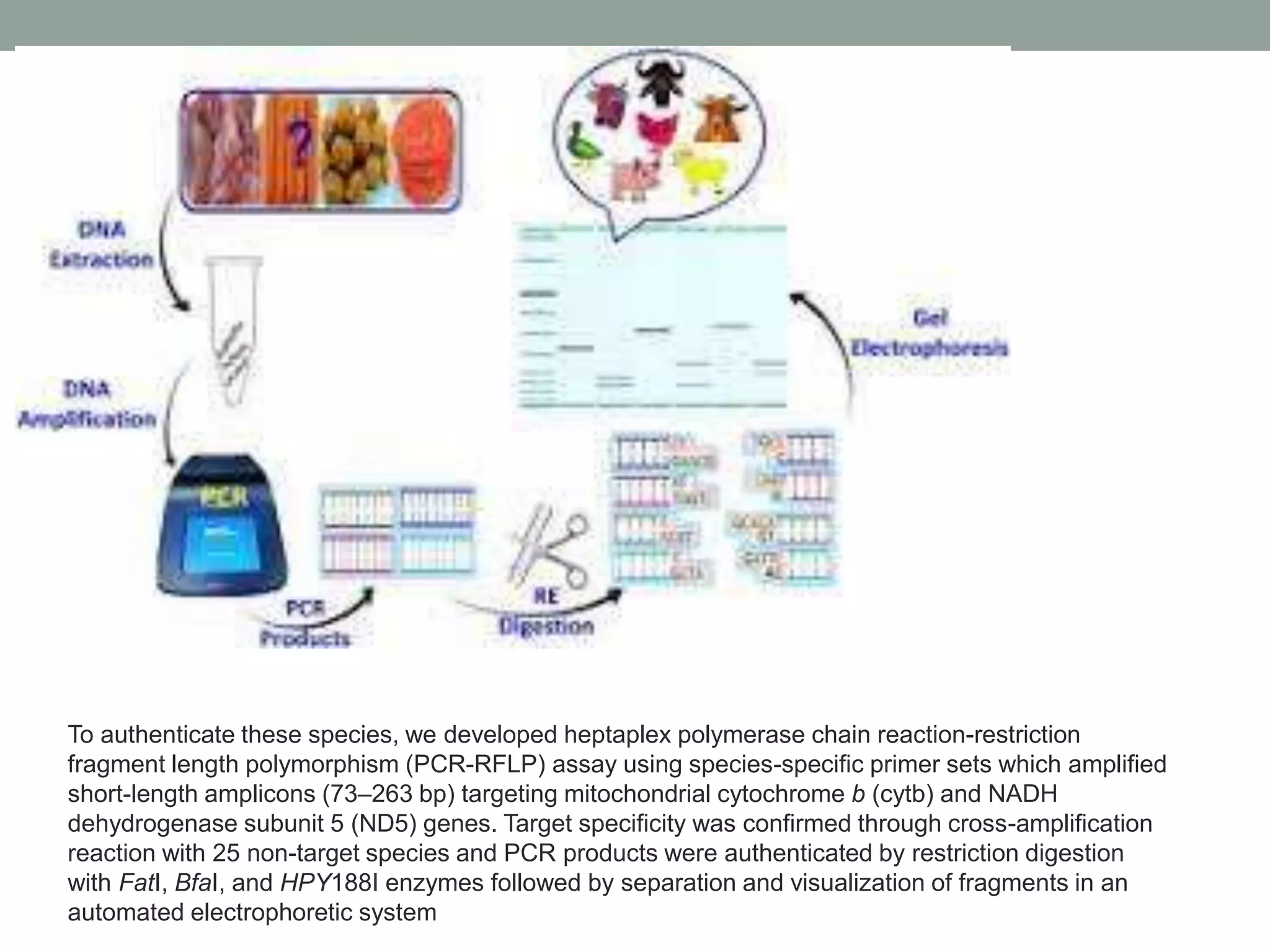 Molecular techniques in food microbiology | PPTX
