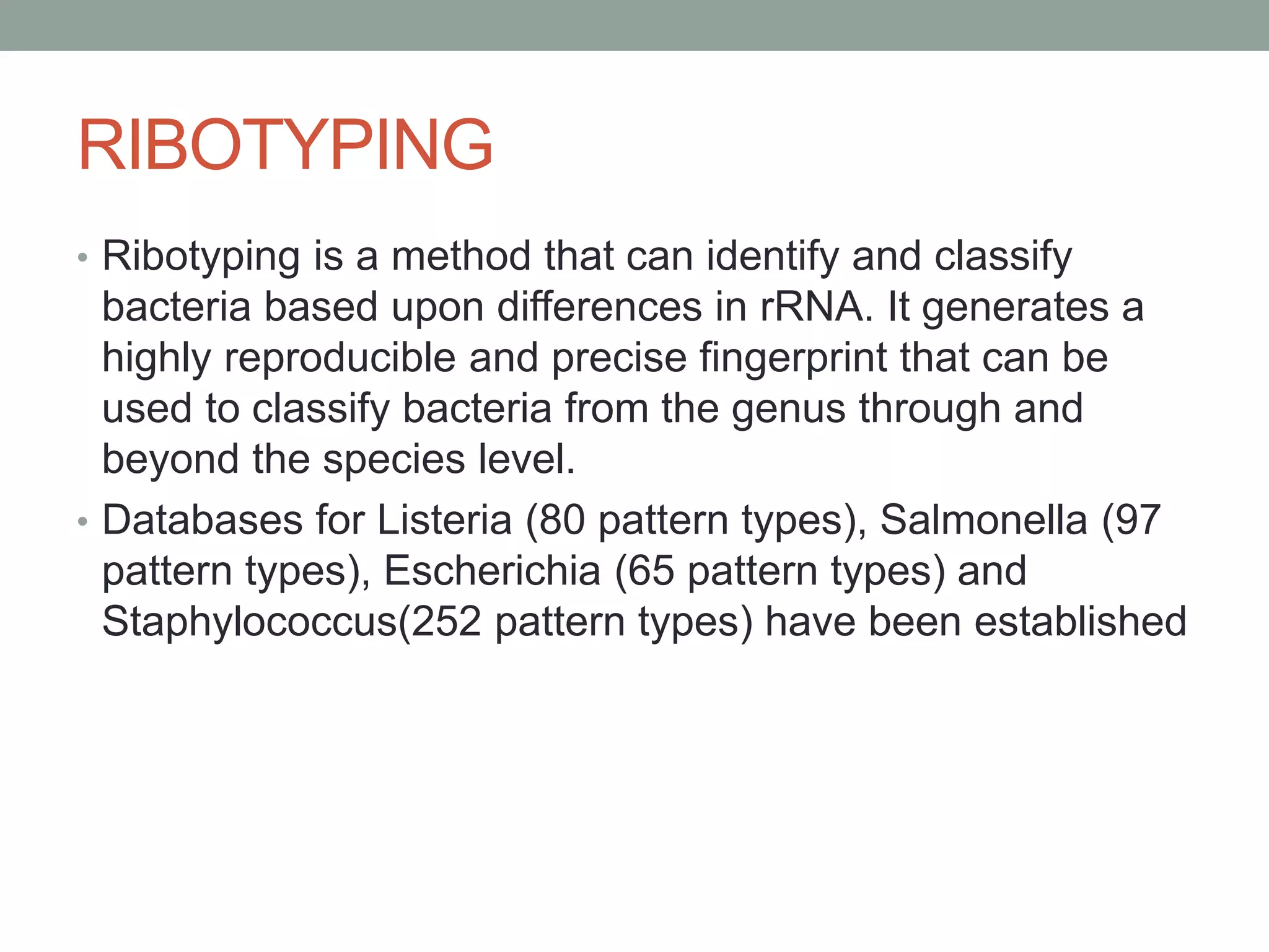 Molecular techniques in food microbiology | PPTX