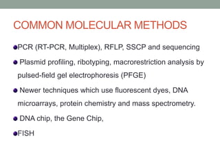 Molecular techniques in food microbiology | PPTX