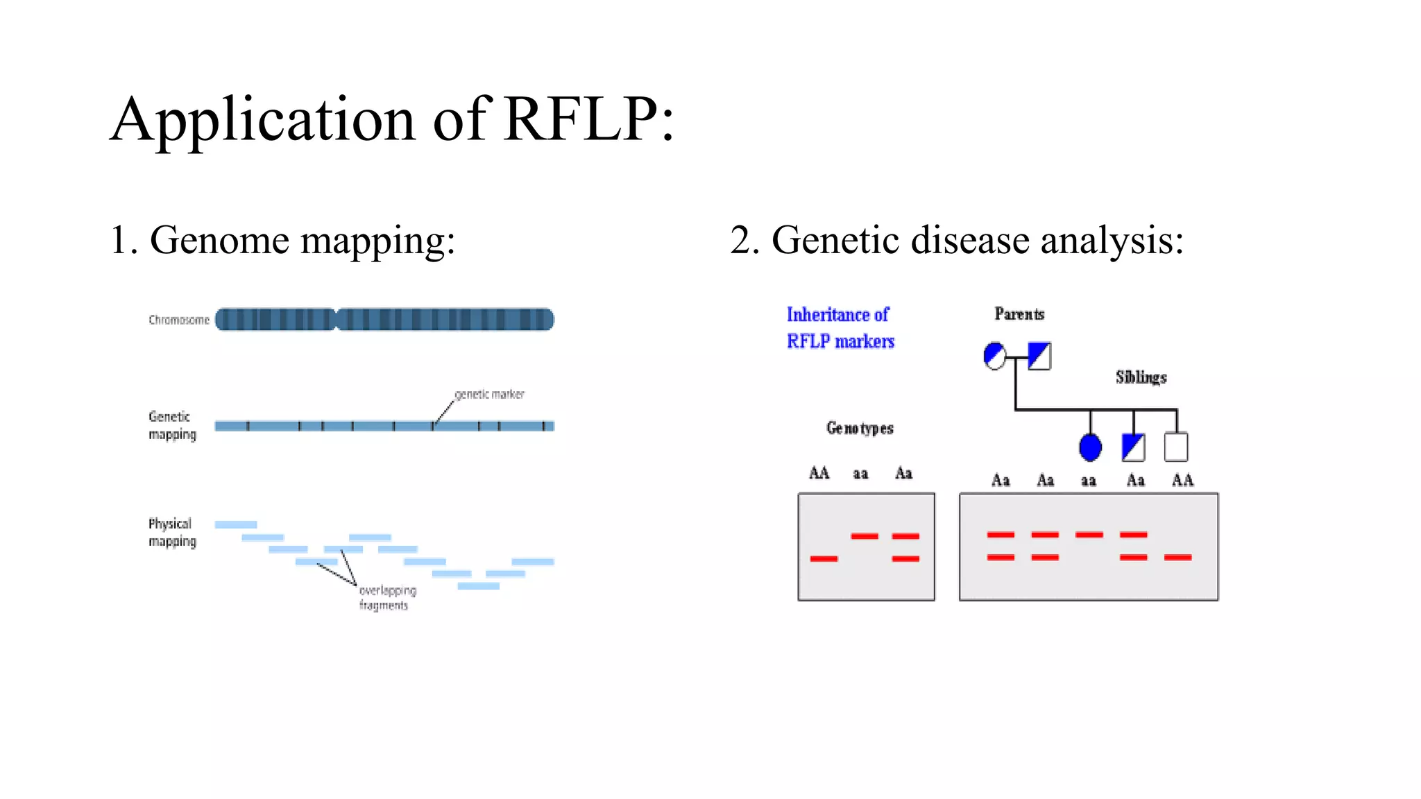 Molecular Techniques in Microbiology.pptx