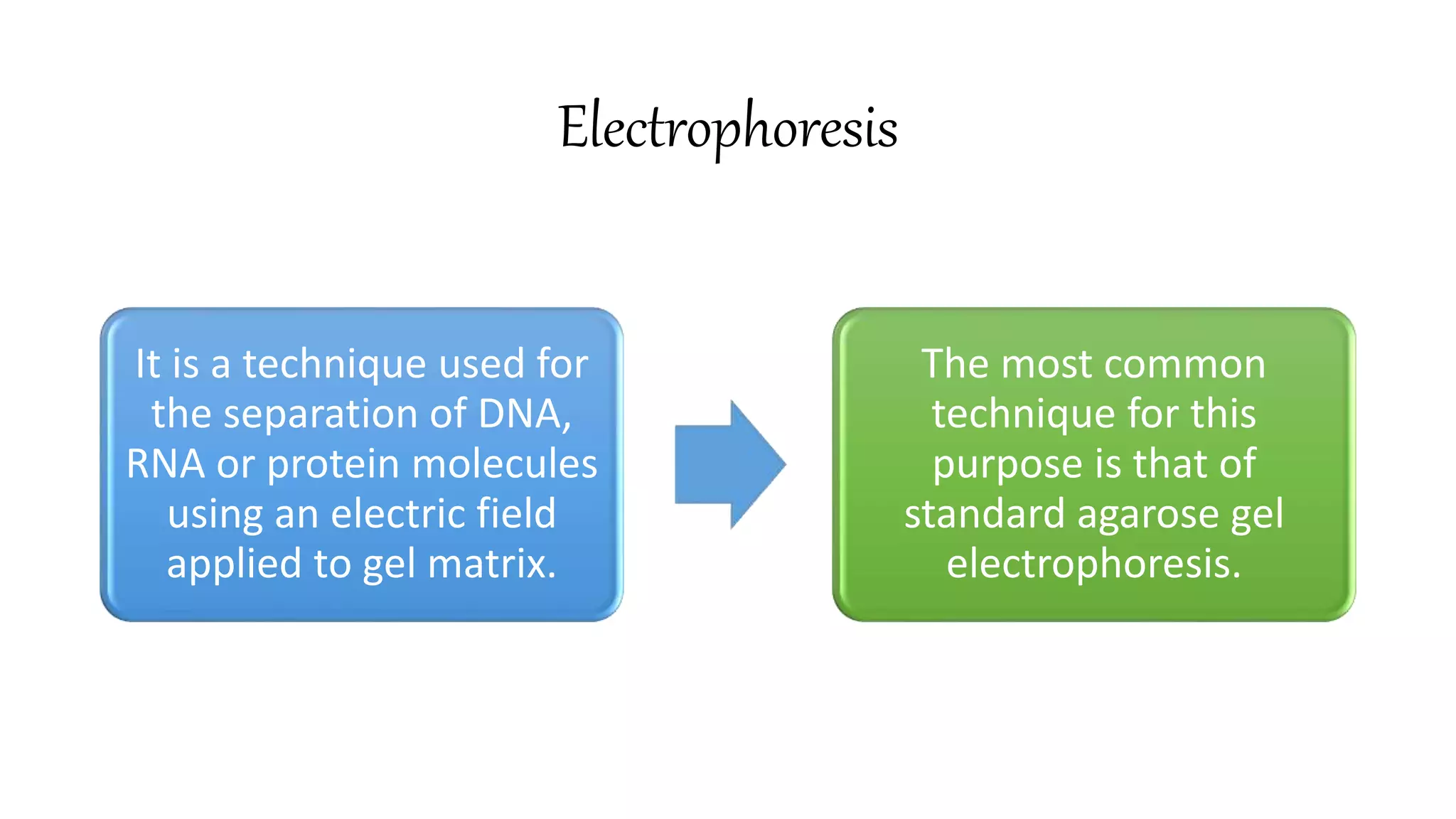 Molecular Techniques in Microbiology.pptx