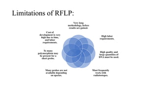 Molecular Techniques in Microbiology.pptx
