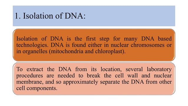 Molecular Techniques in Microbiology.pptx