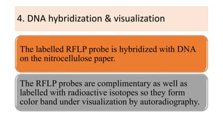 Molecular Techniques in Microbiology.pptx