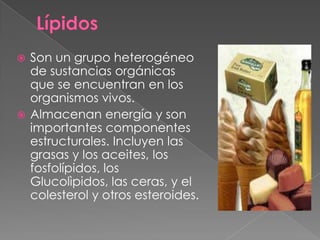 Moleculas biologicas | PPTX