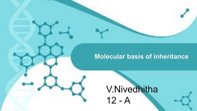 Moleculer basis of inheritance (1) | PPT