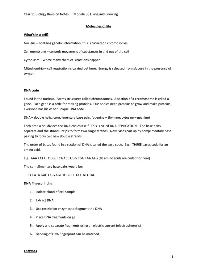 B3 OCR GCSE | PDF