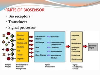 Molecule selective electrode system and bio sensor | PPTX