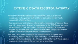 Molecules in lung cancer part 2 | PPTX