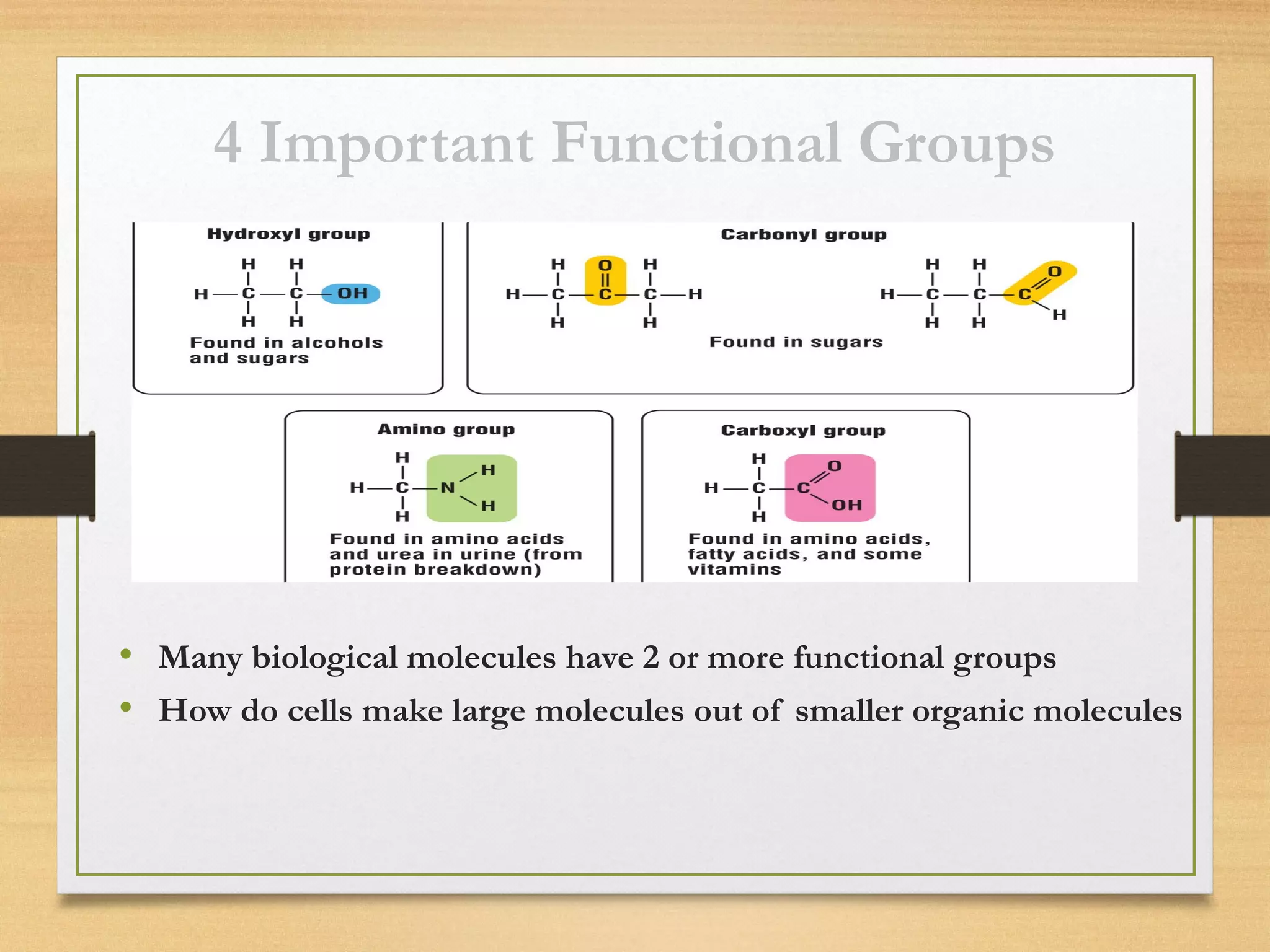 Molecules of life | PPT