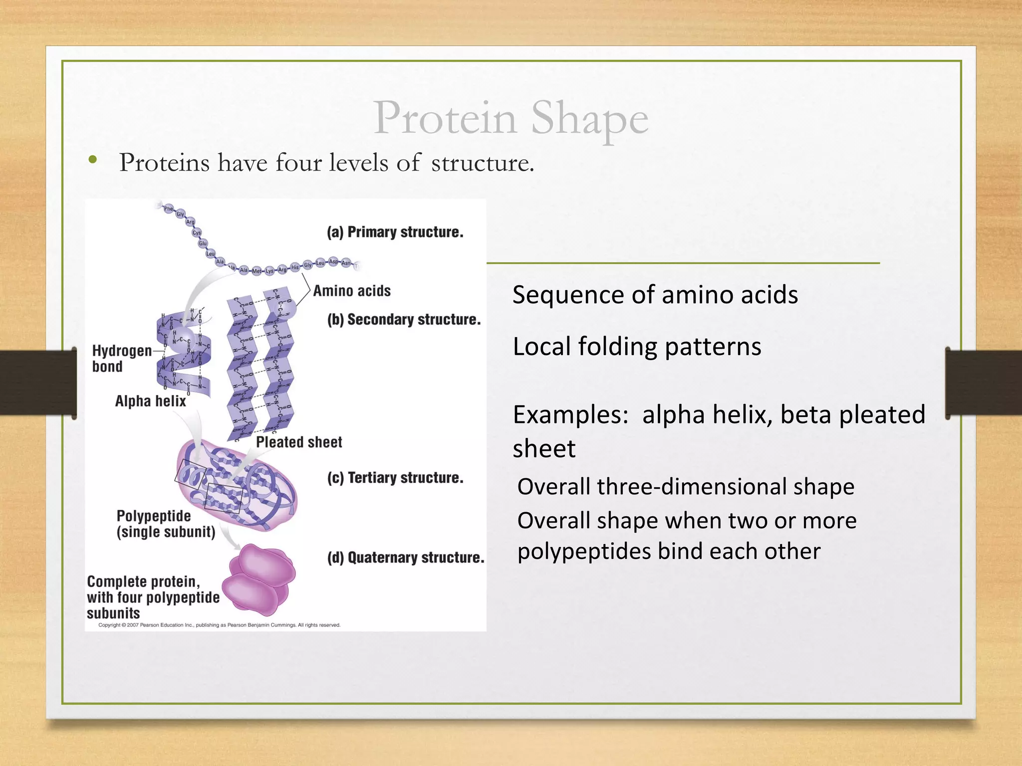 Molecules of life | PPT