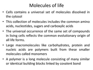 molecules of life.pptx