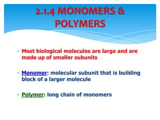 Molecules of life 9th grade | PPTX