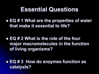 MoleculesofLifePowerpoint-1.ppt