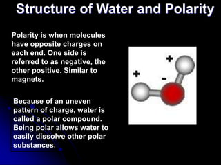 MoleculesofLifePowerpoint-1.ppt