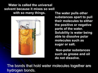 MoleculesofLifePowerpoint-1.ppt