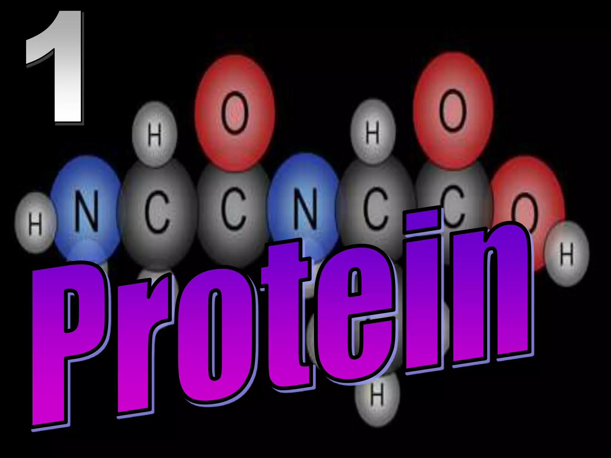 Molecules of Life Visual Quiz, Proteins, Carbohydrates, Lipids, Nucleic ...
