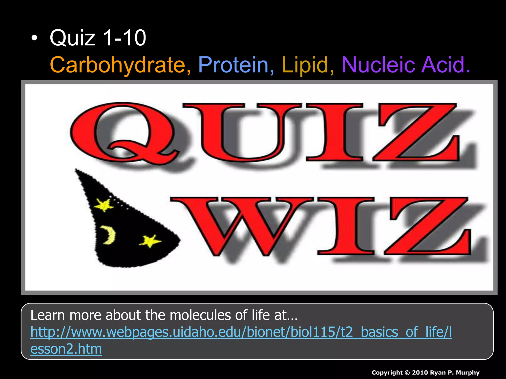 Molecules of Life Visual Quiz, Proteins, Carbohydrates, Lipids, Nucleic ...