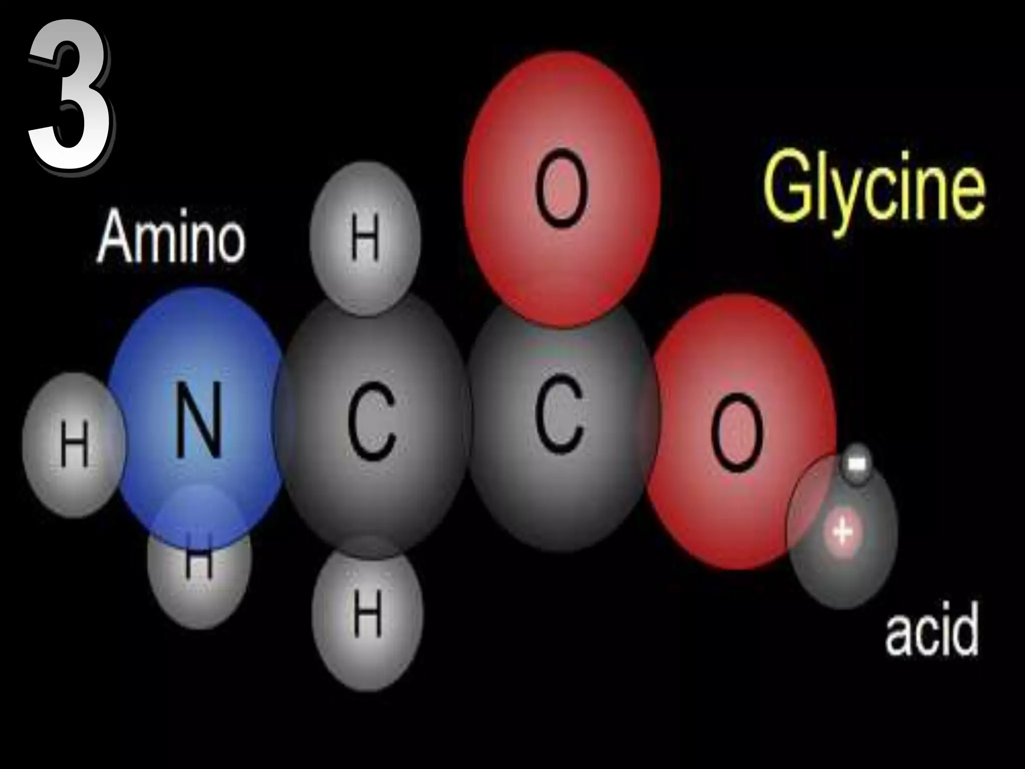 Molecules of Life Visual Quiz, Proteins, Carbohydrates, Lipids, Nucleic ...