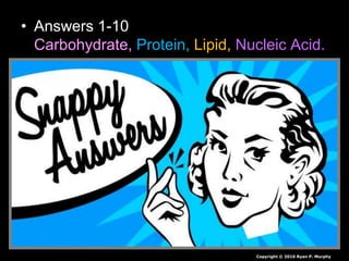 Molecules of Life Visual Quiz, Proteins, Carbohydrates, Lipids, Nucleic ...