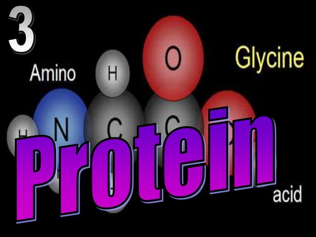 Molecules of Life Visual Quiz, Proteins, Carbohydrates, Lipids, Nucleic ...