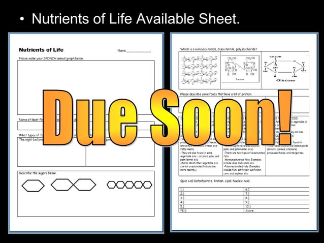 Molecules of Life Visual Quiz, Proteins, Carbohydrates, Lipids, Nucleic ...