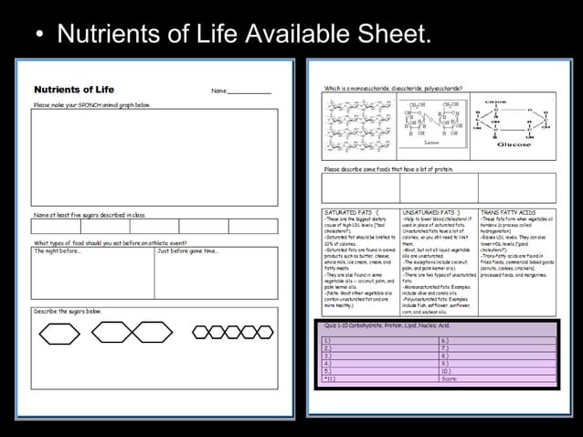 Molecules of Life Visual Quiz, Proteins, Carbohydrates, Lipids, Nucleic ...