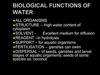 Molecules to metabolism | PPT
