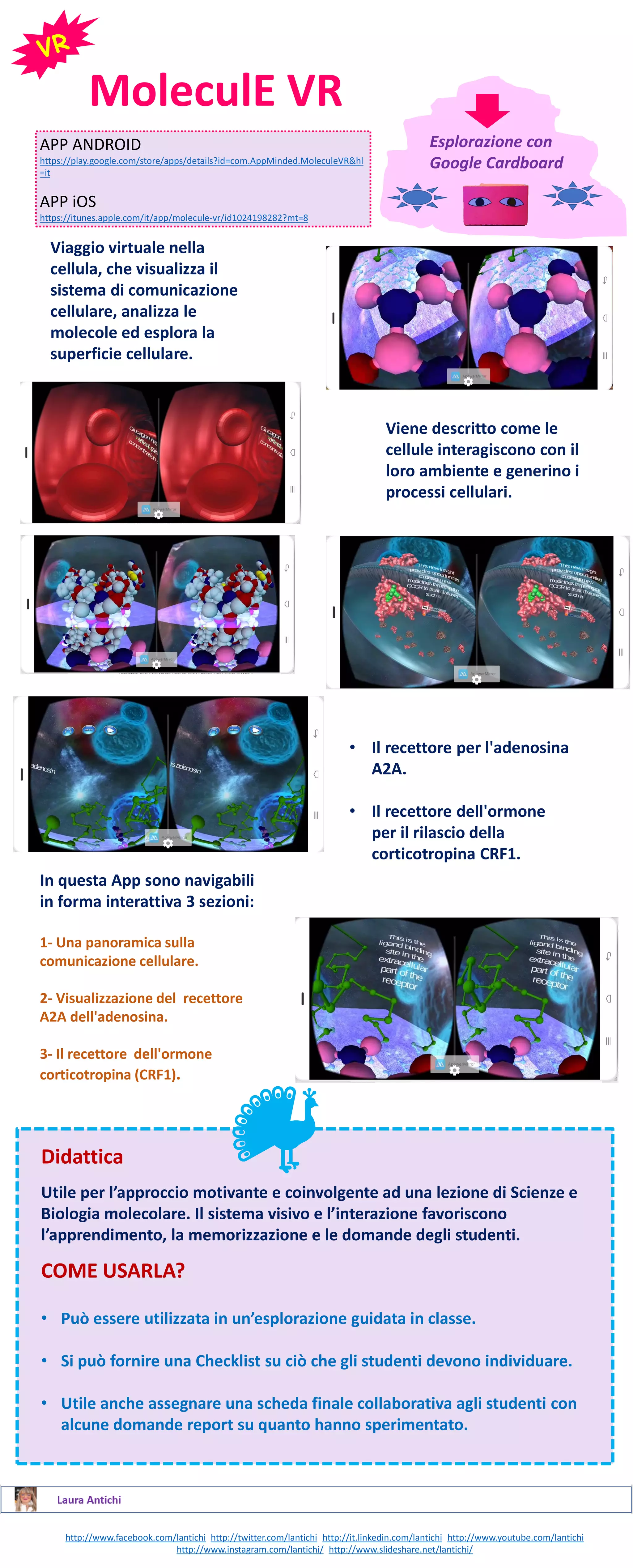 Molecule vr pro | PDF