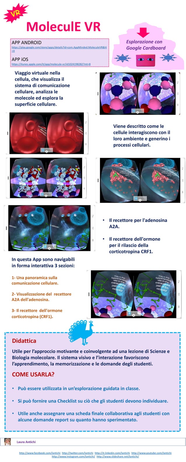 Molecule vr pro | PDF